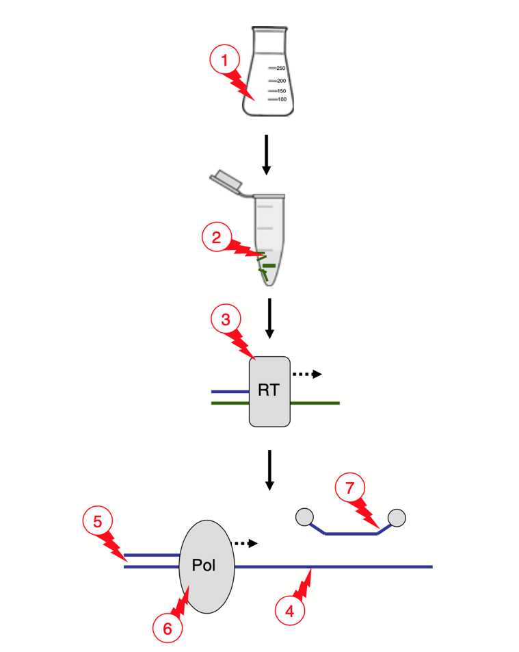 What inhibits PCR reactions?