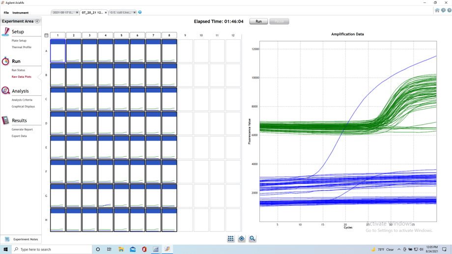 Visually confirming a positive qPCR result using the Agilent AriaMx